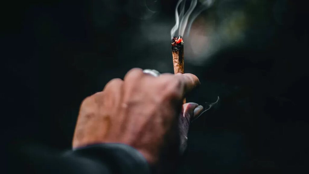 Guide to Lighting a Joint | Botany Farms