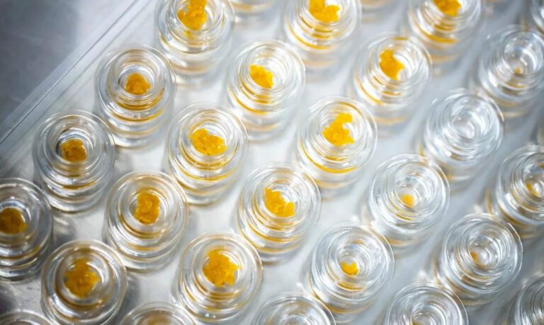 Live Resin: A Guide to How its Made