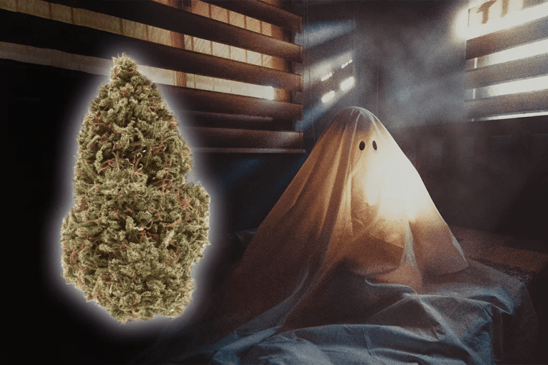 Sour Ghost Strain Review