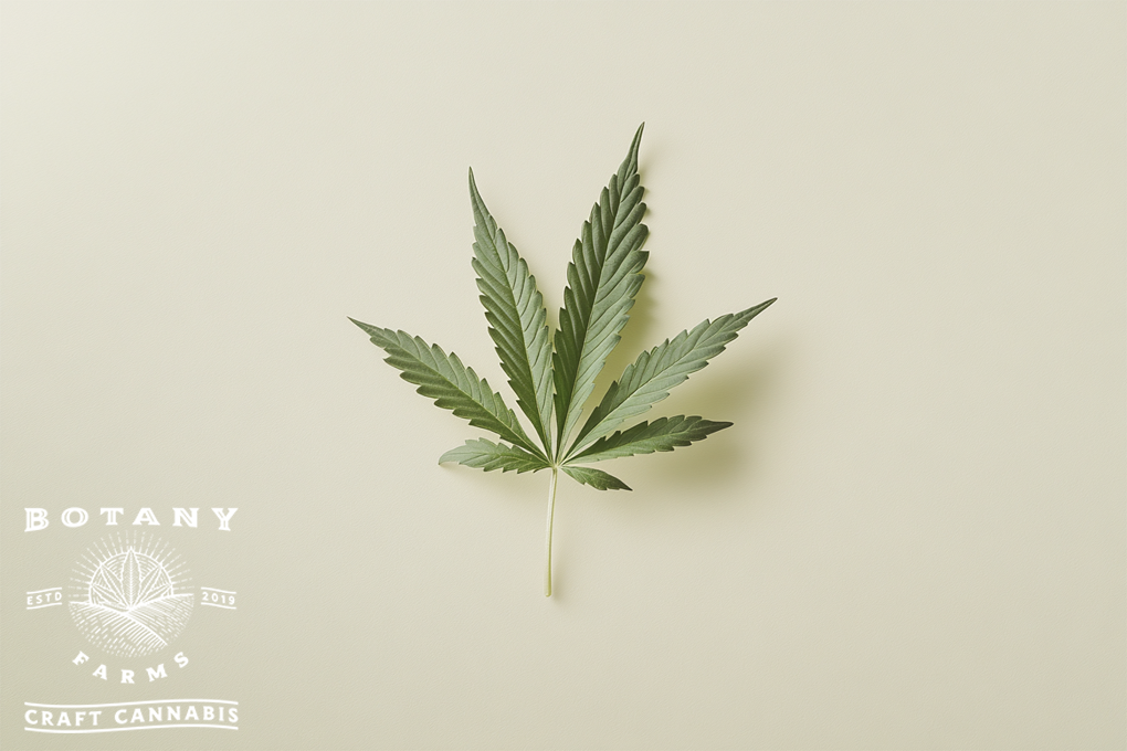 Premium CBD Products Botany Farms Premium CBD Products Botany Farms